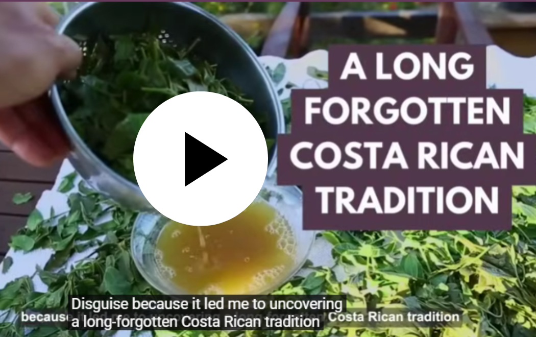 Secret Costa Rican Tea – Let's Check It Now